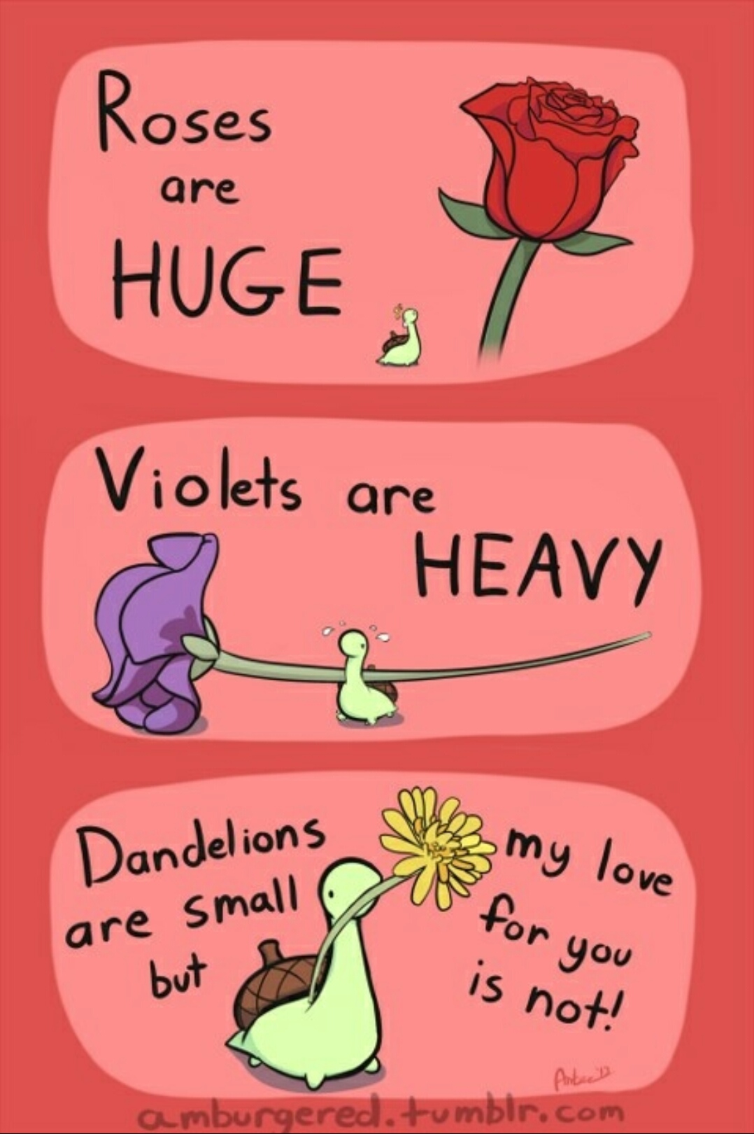 IMG_20180130_090450.jpg – I am Sandy Kay